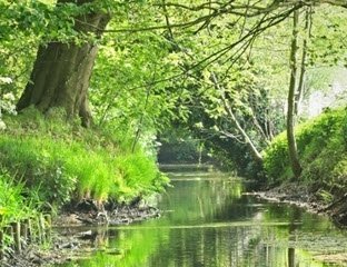 Hierdense Beek natuur - Harderwijksezaken.nl
