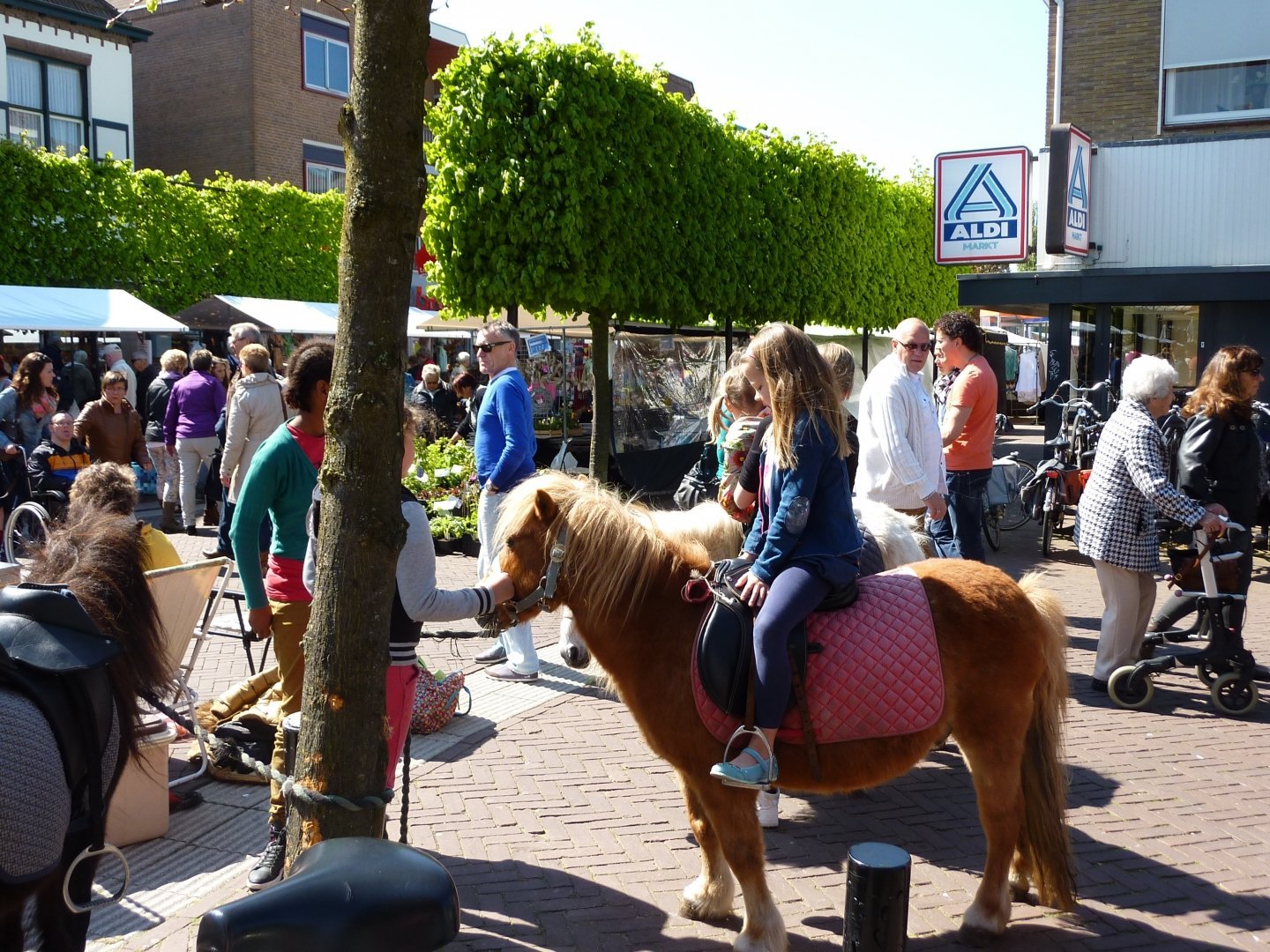 pinkstermarkt ermelo uitgaan toerisme - Harderwijksezaken.nl