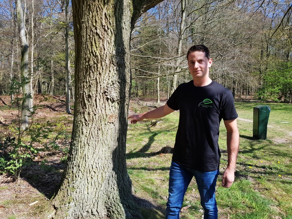 Schakel Processierups Veluwe in bij de bestrijding van de ...