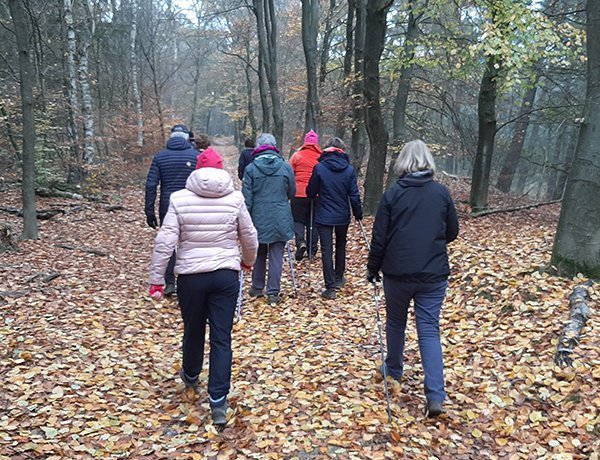Samen wandelen motiveert, is gezellig en verbindt - Harderwijksezaken.nl